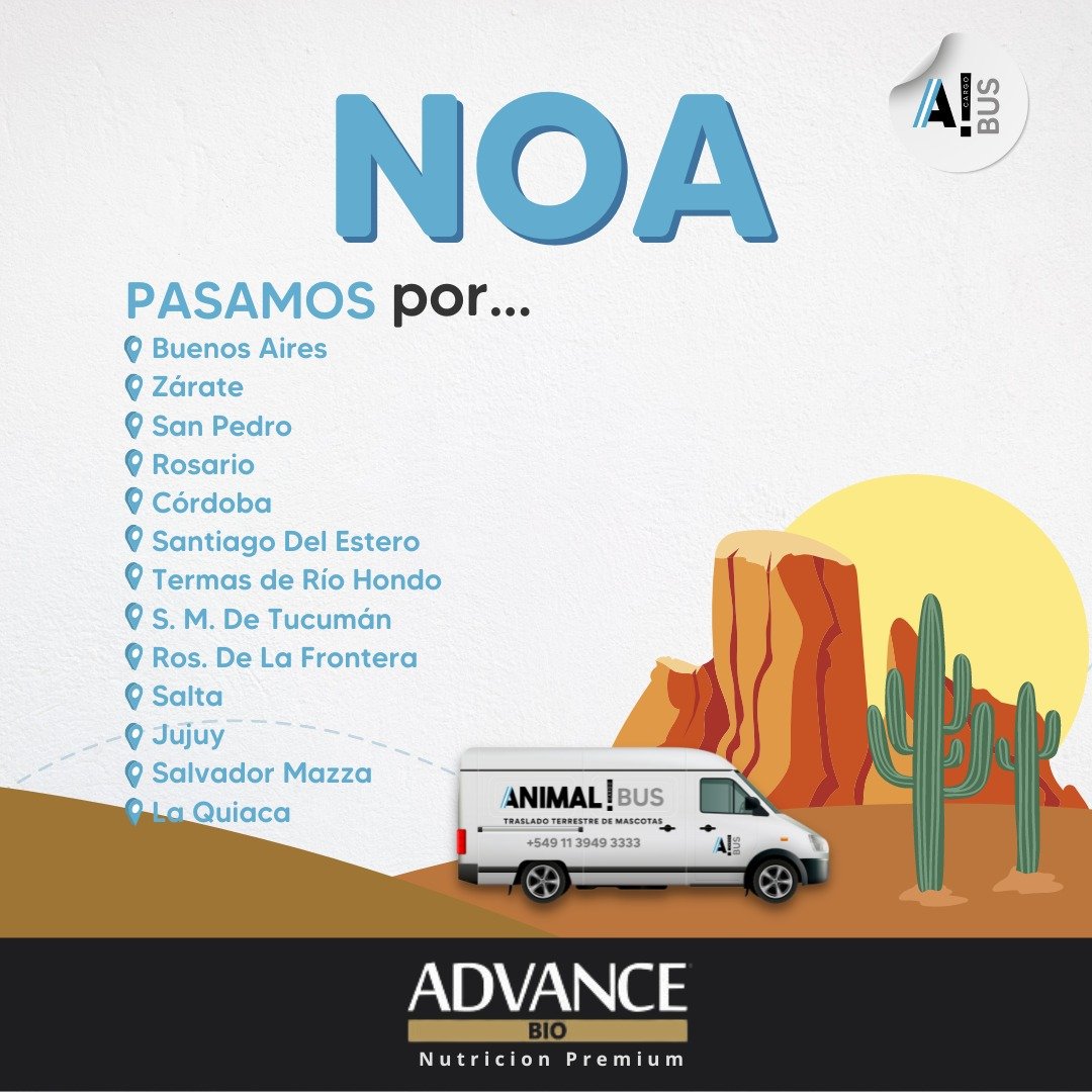 Buenos Aires - Noa - Animal Cargo